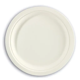 Buy Bayader Disposable Biodegradable bagasse Moulded Fibre Plate ...