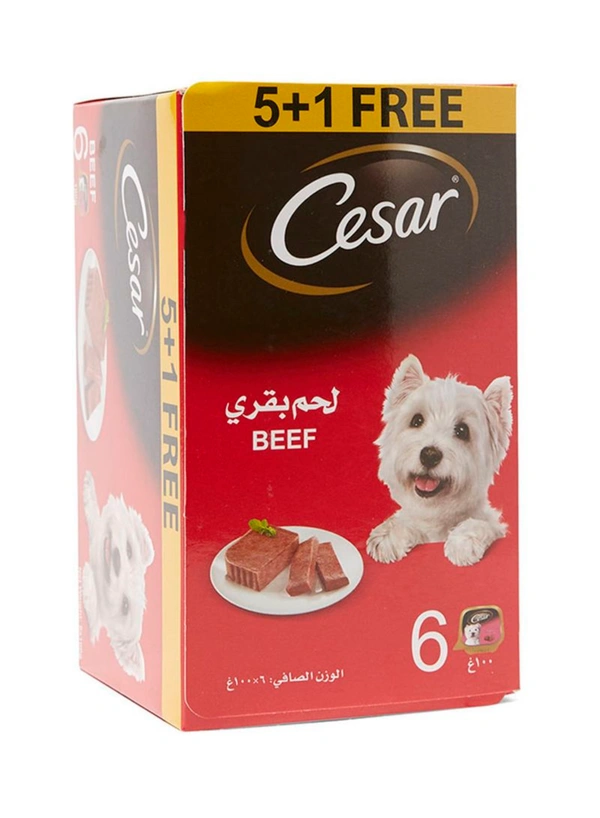 Cesar 6-piece Beef Flavour Dog Wet Food 100g | Wholesale Prices | Tradeling