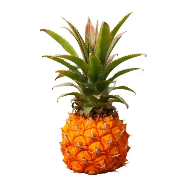 Pineapple Baby RSA 1 Kg | Wholesale | Tradeling