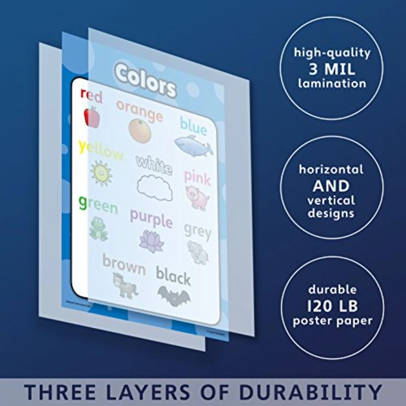 Palace Curriculum Colors Poster Chart Laminated Double Sided 18 x 24 ...