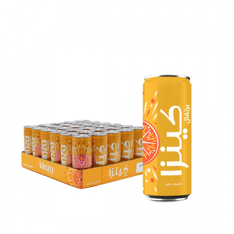 Kinza Orange Drink 250 ml x 30 | Wholesale Prices | Tradeling