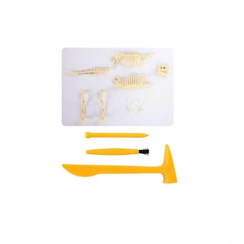 Diy Dinosaur Excavation Kit, Dig Up Dinosaurs Bones, Great Educational ...