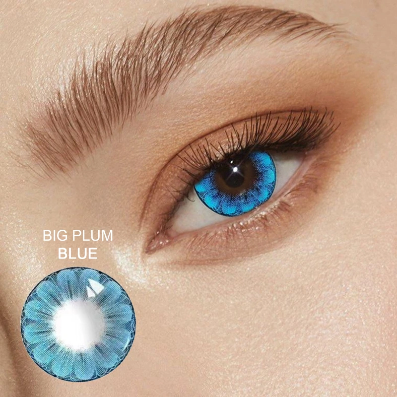 1Pair Eye Contacts Lenses Yearly Use Soft HEMA Big Plum Blossom Beauty ...