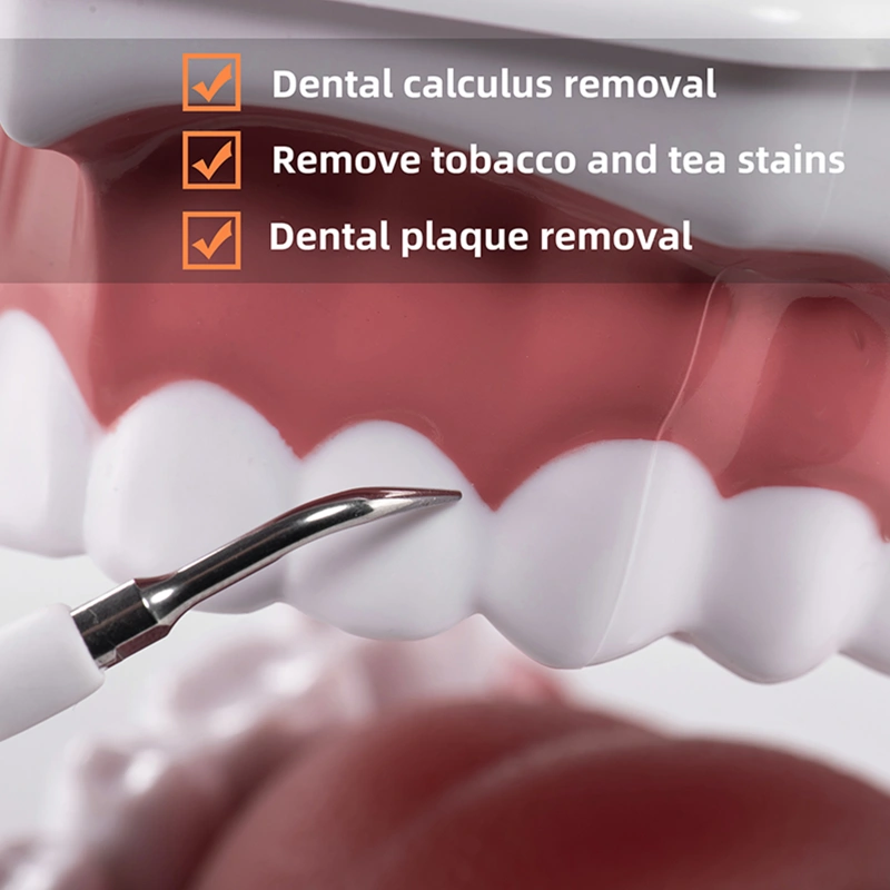 Electric Vibrating Teeth Cleaner with LED Light Dental Hygiene Tool Kit ...