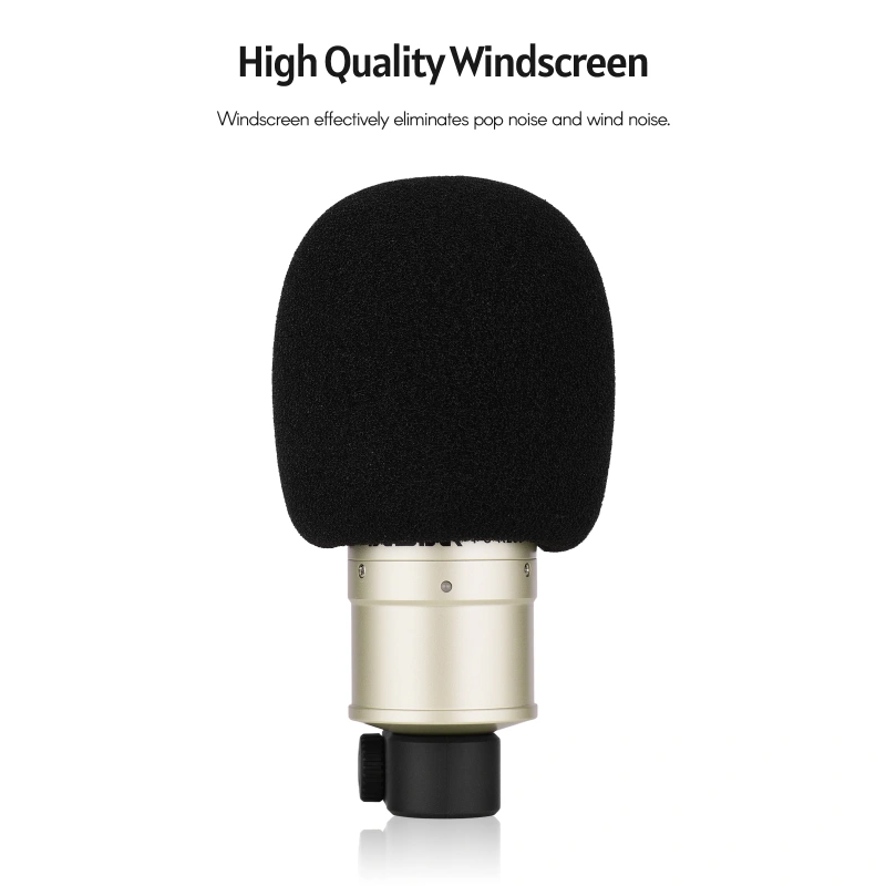 TAKSTAR PC-K200 Cardioid-directional Condenser Recording Microphone ...