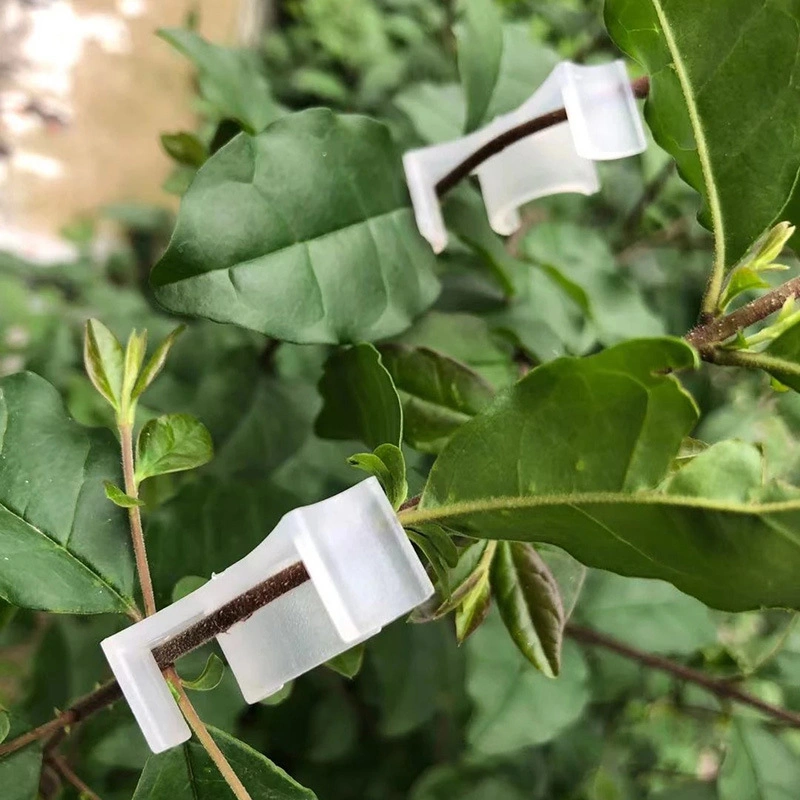 90 Degree Plant Bender Low-Stress Training Clips Reusable Plant Stem ...