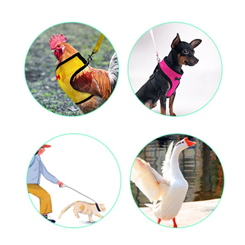 Chicken Hen Harness With Leash Adjustable Wearing Mesh Pet Vest Leash ...