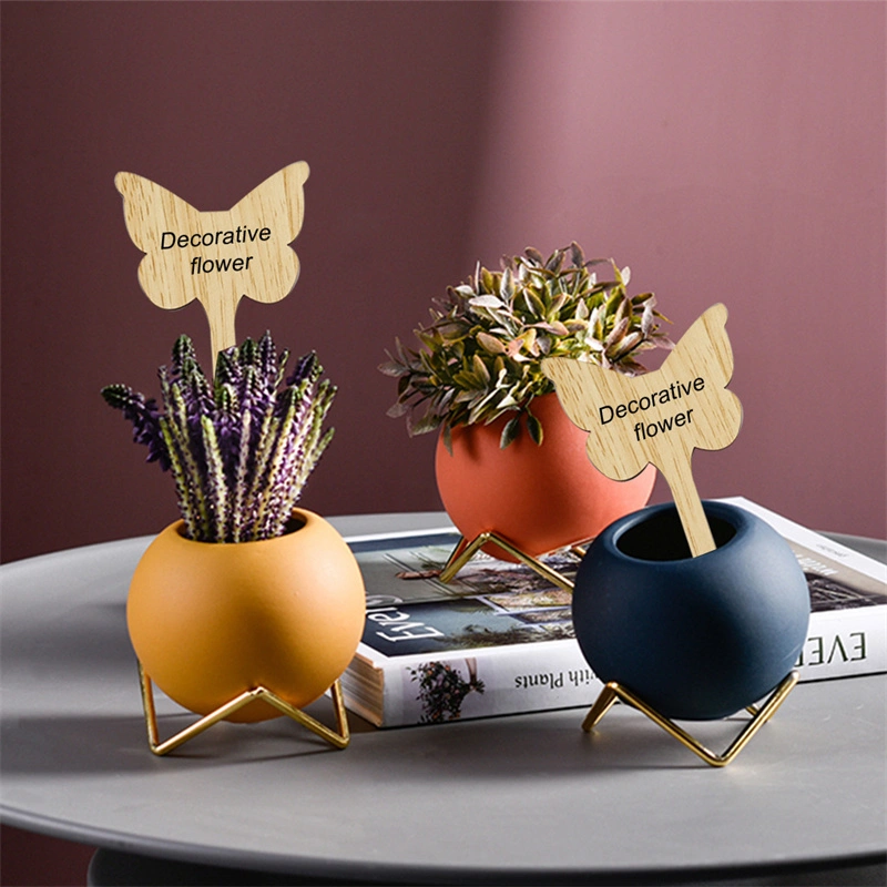 Wood Plant Labels For Garden Plants Identification With Various Shaped ...