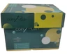 Buy Copy Plus+ All Purpose Premium Paper A4 Online in UAE | Tradeling