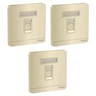 Buy Schneider Electric AvatarOn, telephone socket - E8331RJS4 Wine Gold ...