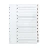 Buy Modest A4 PVC 1 -12 Divider File Folder Online in UAE | Tradeling
